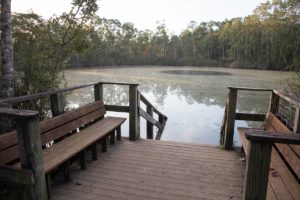 Eagle's Nest Cave – The Florida Guidebook