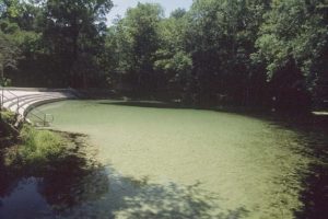 Poe Springs – The Florida Guidebook