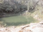 Royal Springs – The Florida Guidebook
