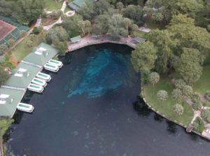Silver Springs State Park – The Florida Guidebook
