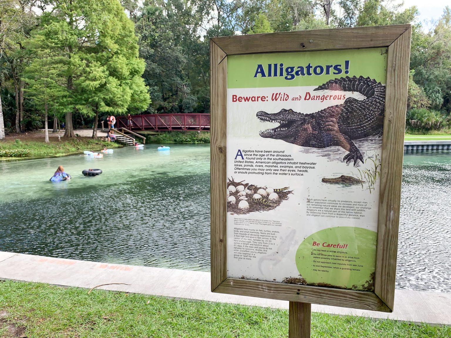 Rock Springs At Kelly Park: Beautiful Spring And Park – The Florida ...
