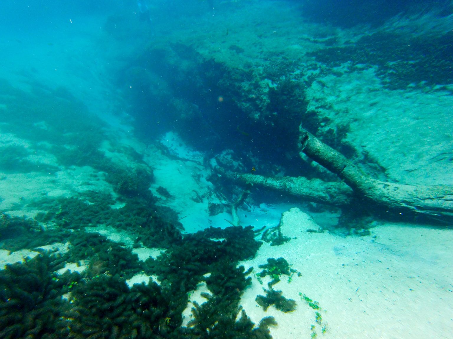 Ichetucknee Springs Campground – The Florida Guidebook