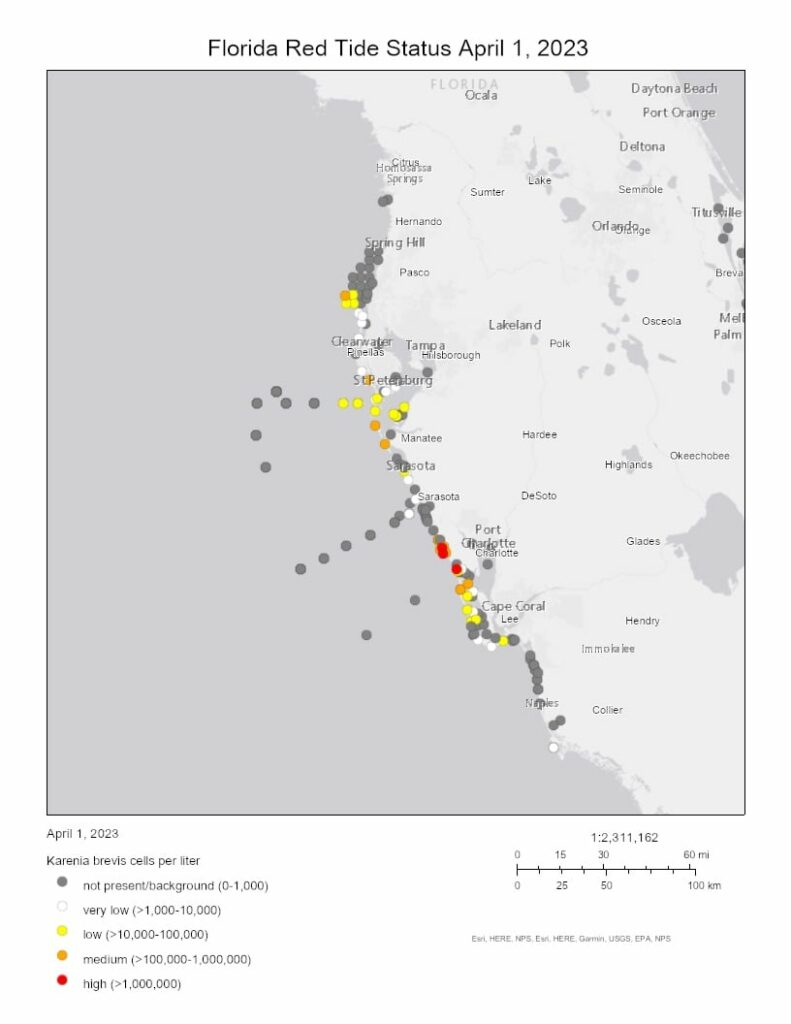 Florida Beach Guide to Red Tide – The Florida Guidebook