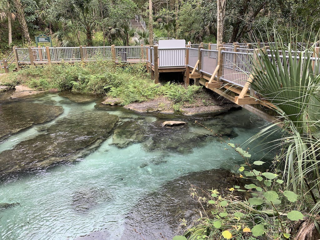 The Best Natural Springs Near Orlando (Description, Distance And Map ...