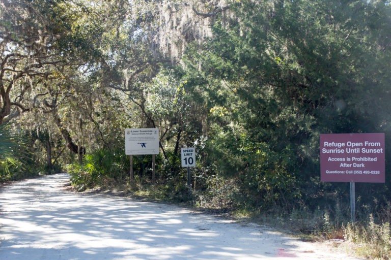 Shell Mound Campground (Cedar Key) – The Florida Guidebook