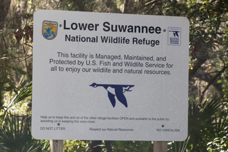 Shell Mound Campground (Cedar Key) – The Florida Guidebook